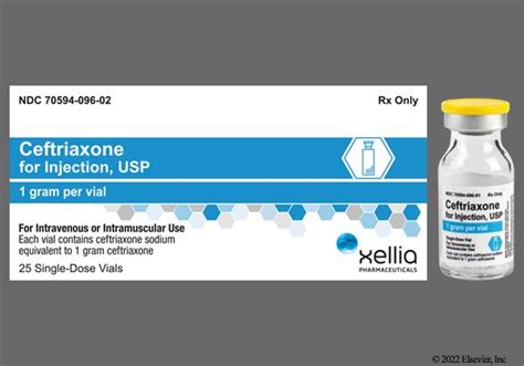 Ceftriaxone 1gm Iv Cheapest Selection Th