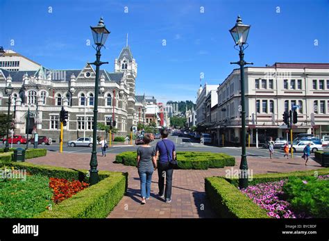 Otago Peninsula Dunedin New Zealand Aotearoa Fotos Und Bildmaterial