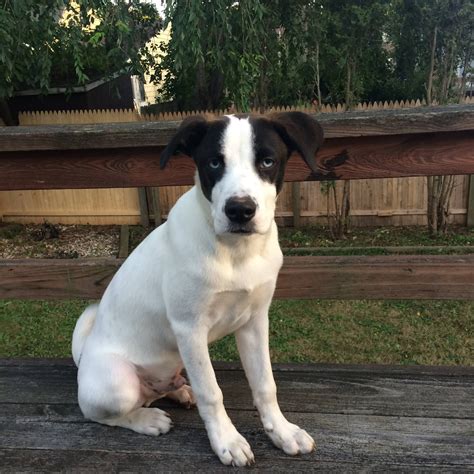 Donna Calautti Rinaldo