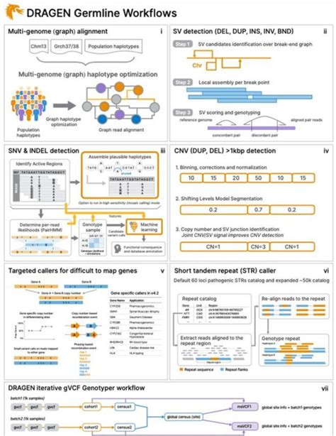 Comprehensive And Accurate Genome Analysis At Scale Using Dragen Accelerated Algorithms Usman