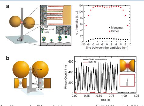 Figure 1 From Dna Assembled Advanced Plasmonic Architectures