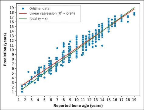 Validation Of A Deep Learning Algorithm For Bone Age Estimation Among