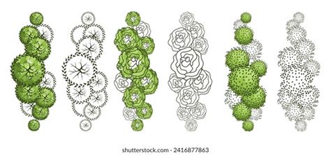 Group Trees Architectural Floor Plans Entourage Stock Vector Royalty Free 2417216483