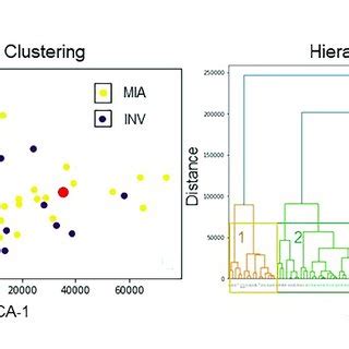 Unsupervised Clustering Analysis Using Radiomic Features Left