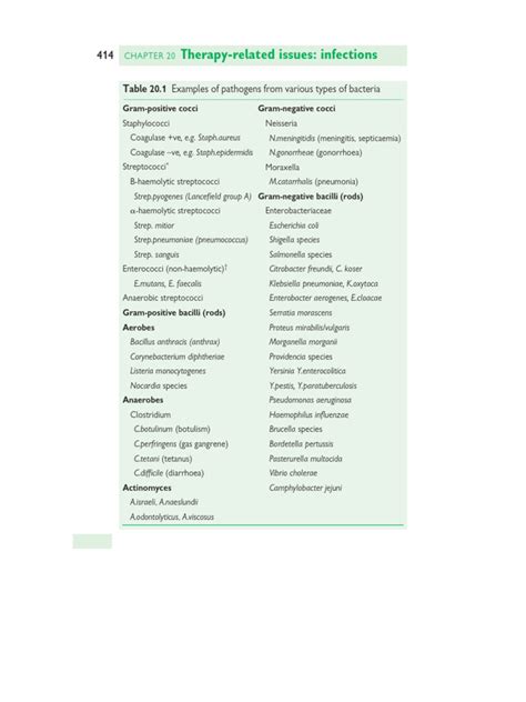 Bacteria Classes Pdf Gram Negative Bacteria Bacteria