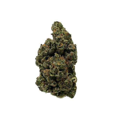 Boost Your Sex Life Best Strains For Female Arousal Reviewed