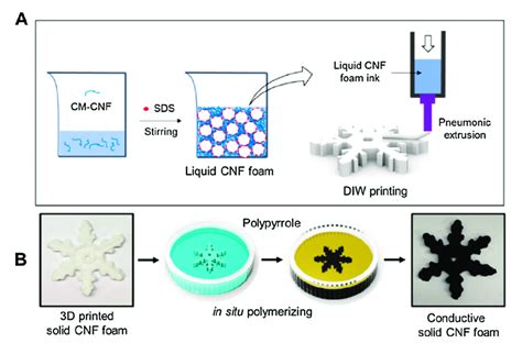 Procedure To Prepare Conductive Solid Cellulose Nanofiber Cnf Download Scientific Diagram