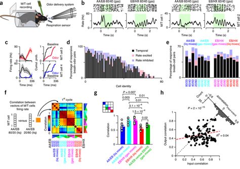 input output reformatting of odor evoked representations in the ob a