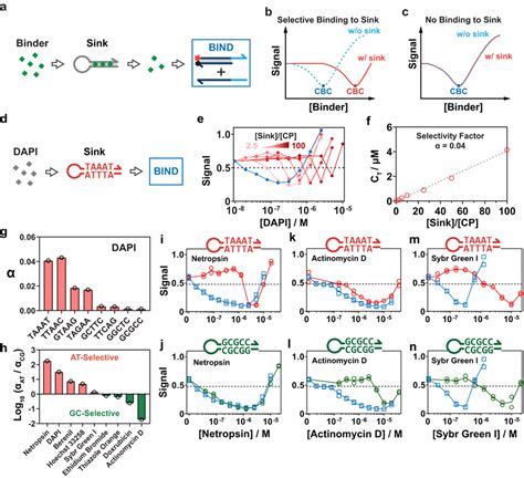 Determining Sequence Selectivity Of Dna Binder Interactions Using Download Scientific Diagram