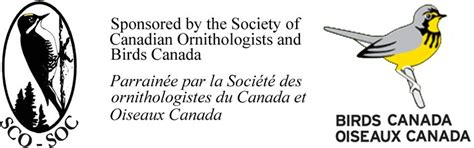Assessment Of Cue Counting For Estimating Bird Density Using Passive Acoustic Monitoring