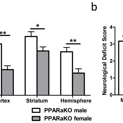 Loss Of Pparα Does Not Resolve Sex Differences In Infarct Volume After Download Scientific