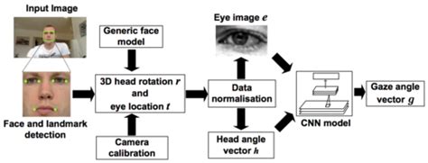 Eye Gaze Estimation Kaggle