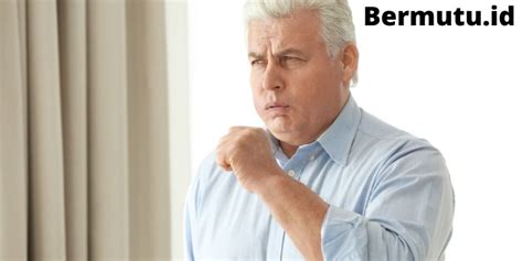 Yuk Kita Intip Manfaat Dari Merawat Tanaman Lidah Mertua PT Bermutu Indonesia Pratama