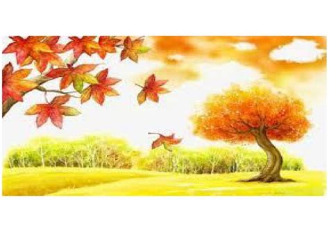 ظواهر فصل الخريف 4463150 Elsy Mansour Live