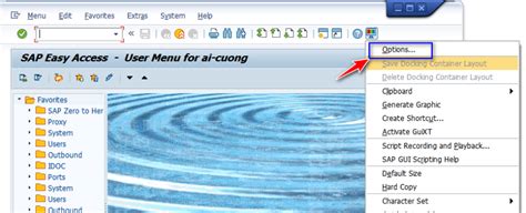 Sap Gui Understanding Sap Gui Historical Data Sap Zero To Hero