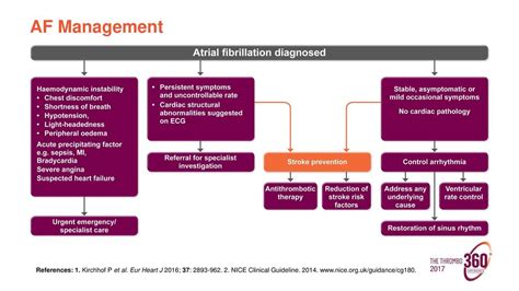 Af Management And Stroke Prevention Ppt Download