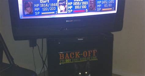 Shes Plotting My Demise I Know It Imgur