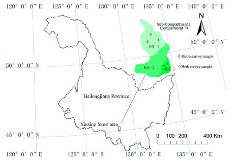 Baseline Stratification Scheme Download Scientific Diagram
