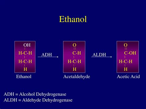Ppt Toxic Alcohols Powerpoint Presentation Free Download Id158059