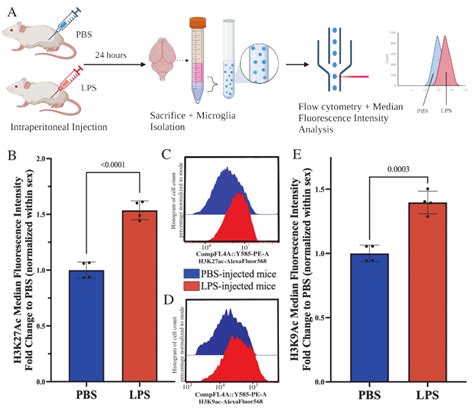 Quantification Of Global Histone Post Translational Modifications Using Intranuclear Flow