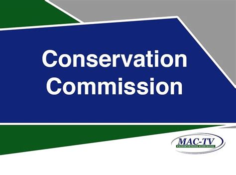 Westonwaltham Mass Central Rail Trail Link Bridge 1 Of 2