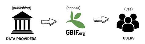 Gbif Issues And Flags Gbif Data Blog