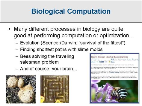 Lecture 14 Iterative Refinement Physically And Biologicallyinspired