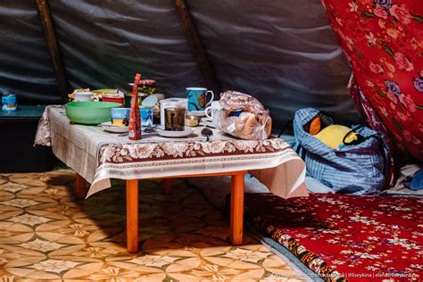 Чем угощают гостей оленеводы летом посреди тундры Путешествия с фотокамерой Дзен