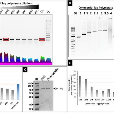 Pdf A Simple And Efficient Method For Taq Dna Polymerase Purification Based On Heat
