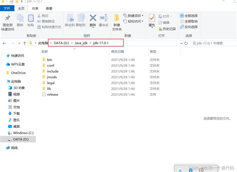 随意切换jdk8和jdk17秘诀！！必看！ jdk17和8切换 csdn博客