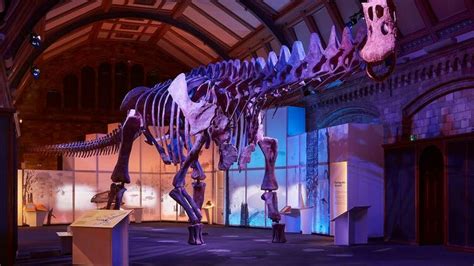Titanosaur Check Out The Gigantic New Dinosaur At The Natural History Museum