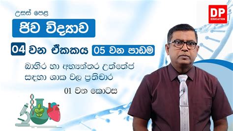 04 වන ඒකකය 5 වන පාඩම බාහිර හා අභ්‍යන්තර උත්තේජ සඳහා ශාක වල ප්‍රතිචාර 1 වන කොටස Al Bio