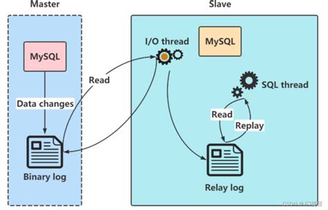 mysql搭建主从复制功能 极客之音