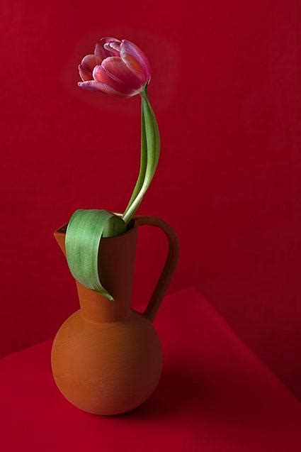 Artists Represented By In Focus Gallery Welcome To In Focus Gallery
