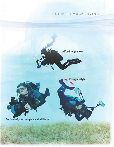Guide To Muck Diving Underwater360