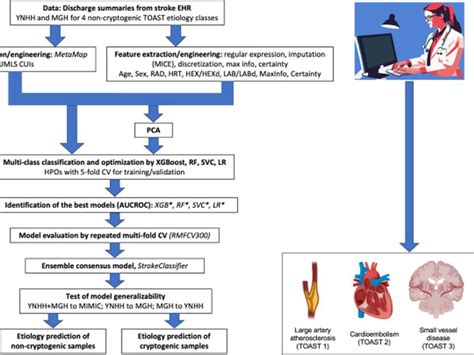 Strokeclassifier Ischemic Stroke Etiology Classification By Ensemble Consensus Modeling Using