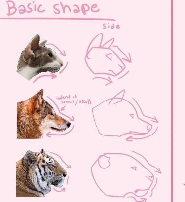 Pin by toirder on Pins criados por você Cats art drawing Canine art Furry drawing