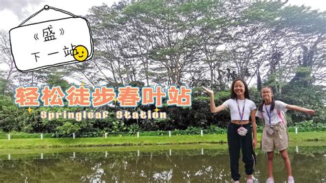 🇸🇬springleaf Station 春叶站） Naturalpark Prata Singaporefood