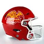 Healy Awards Custom Football Helmet Decals
