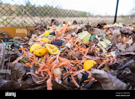 A Composter Made Of Wooden Boards Filled With Bio Waste From The