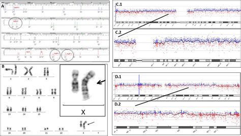 Frontiers Sometimes Karyotype Resolves The Case