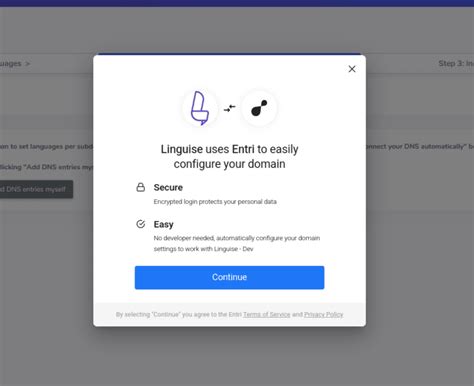 automate dns setup with entri integration