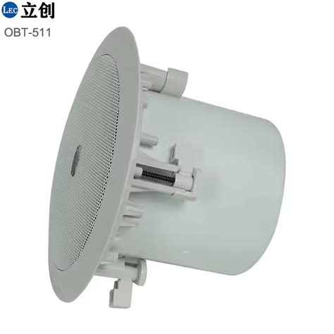 Ceiling Speaker High Quality In Ceiling Speaker With 65 Inch Woofer