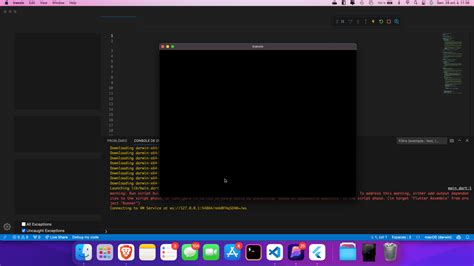 When I Launch My Flutter Application On Macos The Application Is Empty Stack Overflow
