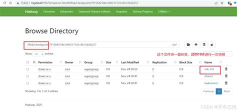 Flink四大基石之checkpoint 检查点 的使用详解 Flink检查点 Csdn博客