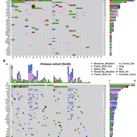 Schematic Diagram Of Ctdna Detection A Detection Of Ctdna From Lung Download Scientific