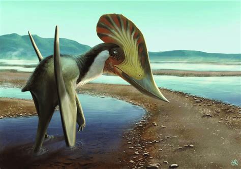 Life Reconstruction Of Azhdarchoid Pterosaur Kariridraco Dianae Gen Et