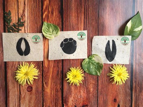 The Paradigm Shift Linkedin