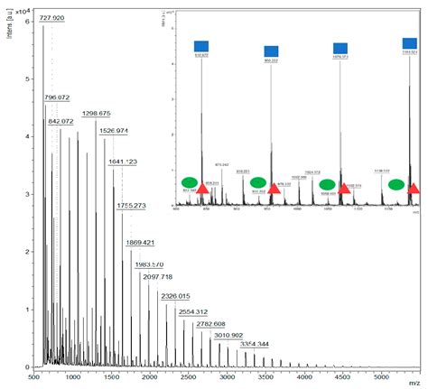 Processes Free Full Text Biocatalytic Approach For Novel Functional Oligoesters Of ε