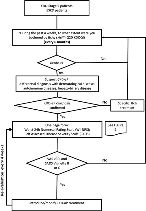 Suggested Algorithm For Screening Diagnosis And Assessment Of Ckd Ap Suggested Algorithm For Screening Diagnosis And Assessment Of Ckd Ap